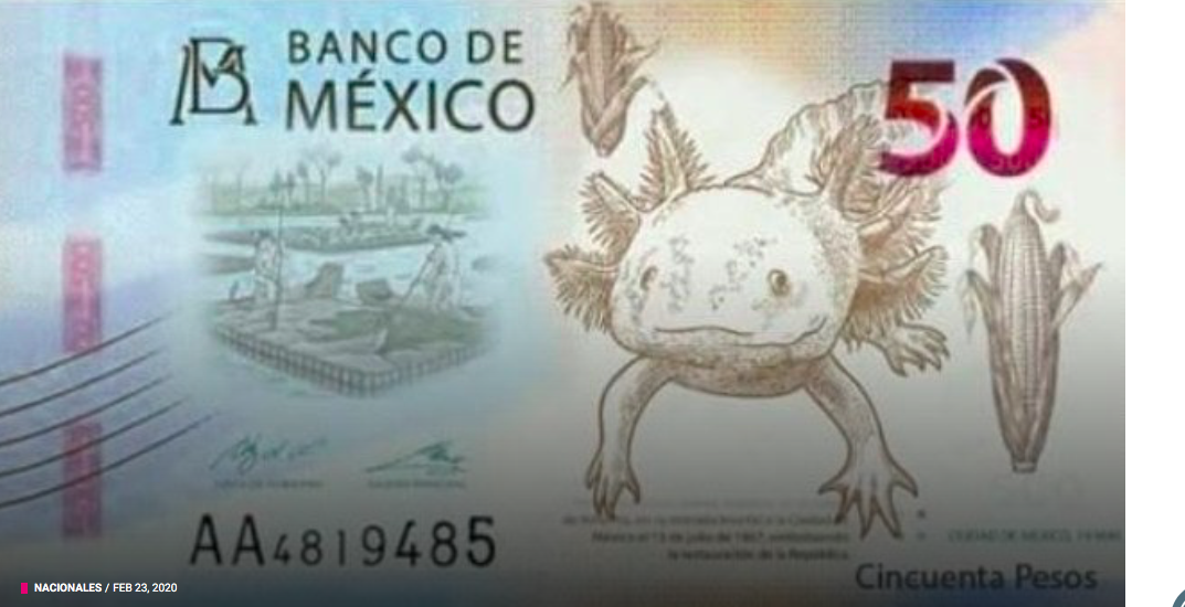 El nuevo billete de 50 pesos